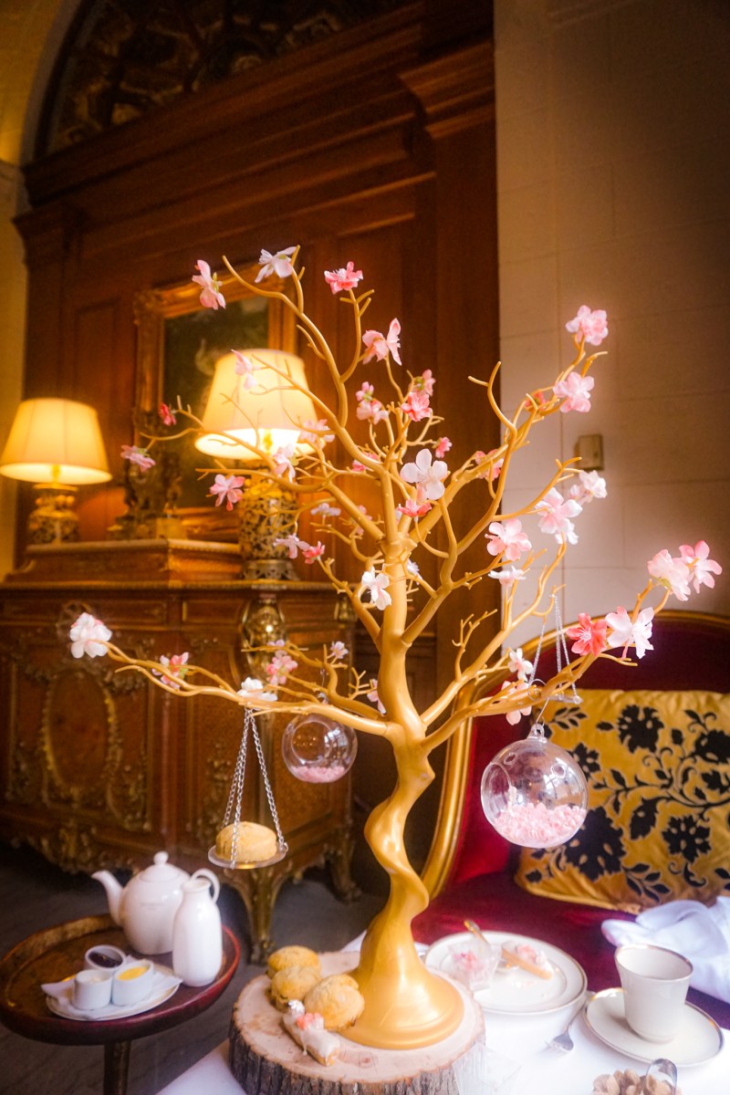 The Best Washington DC Cherry Blossom Dessert Adventure: St Regis High ...