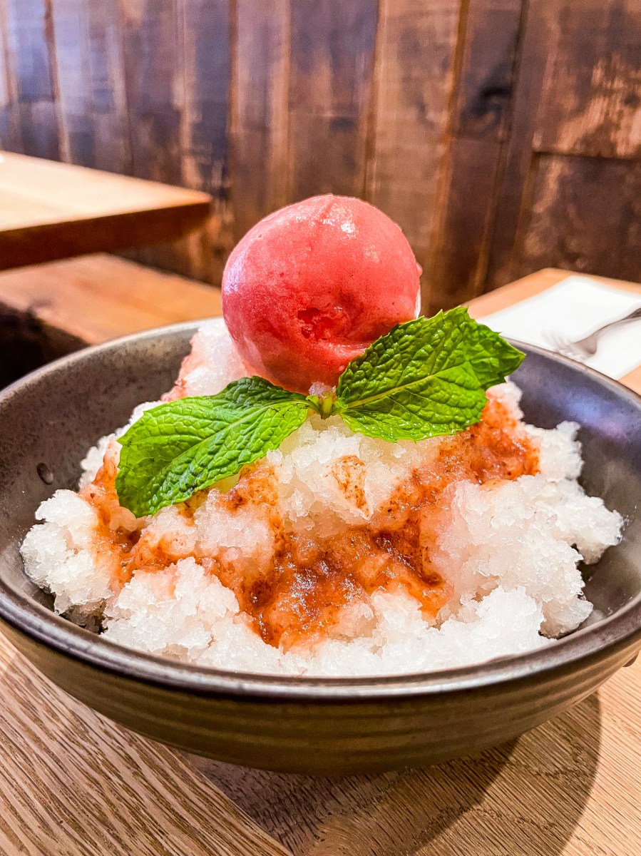 NYC’s Best Shaved Ice – Dessert Correspondents
